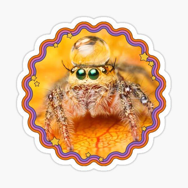 "Cutest Spider" Sticker by YouAnother | Redbubble