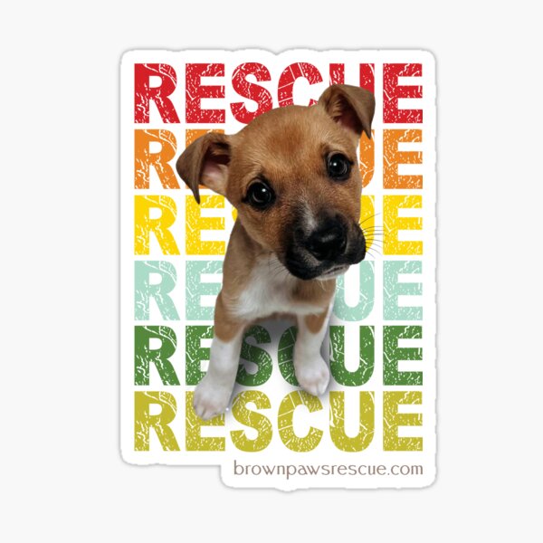 "Brown Paws Rescue Puppy" Sticker by BrownPawsRescue | Redbubble