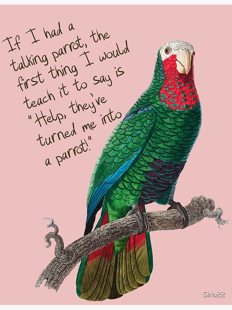 Talking Parrot Quotes