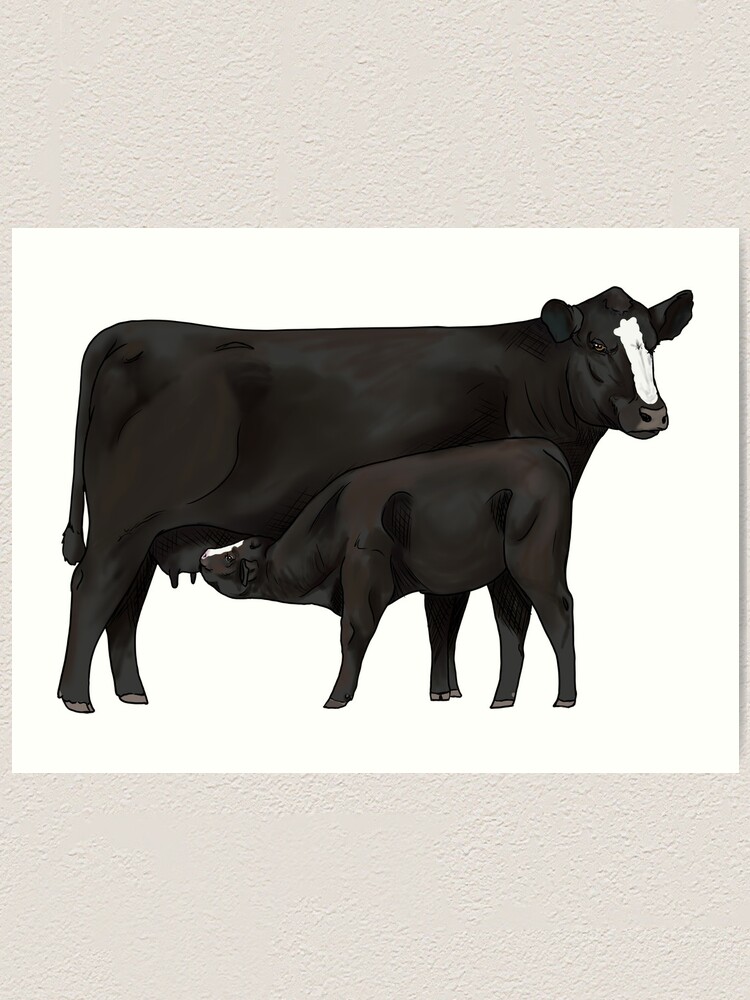 "Simmental - Cow Calf Pair" Art Print for Sale by mwinter2205 | Redbubble