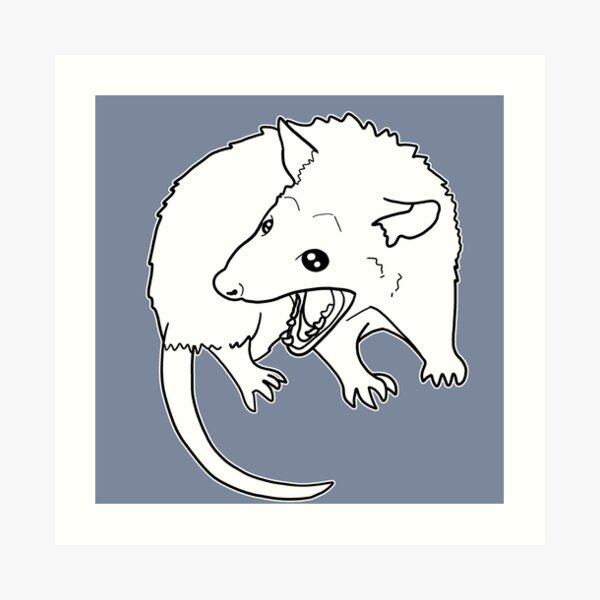 "Opossum Screaming" Art Print for Sale by DooodleDuuude | Redbubble
