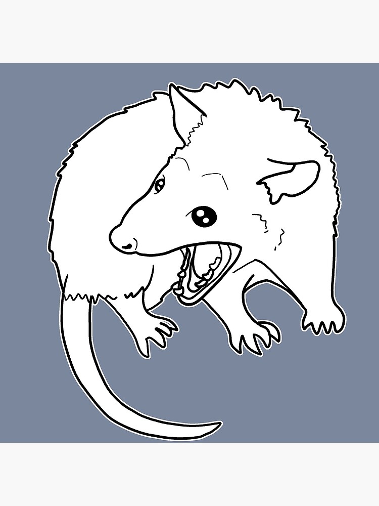 "Opossum Screaming" Poster for Sale by DooodleDuuude | Redbubble