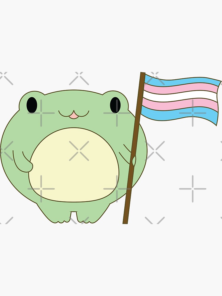 "Cute Frog Pride Froggy Trans flag" Sticker by skr0201 | Redbubble