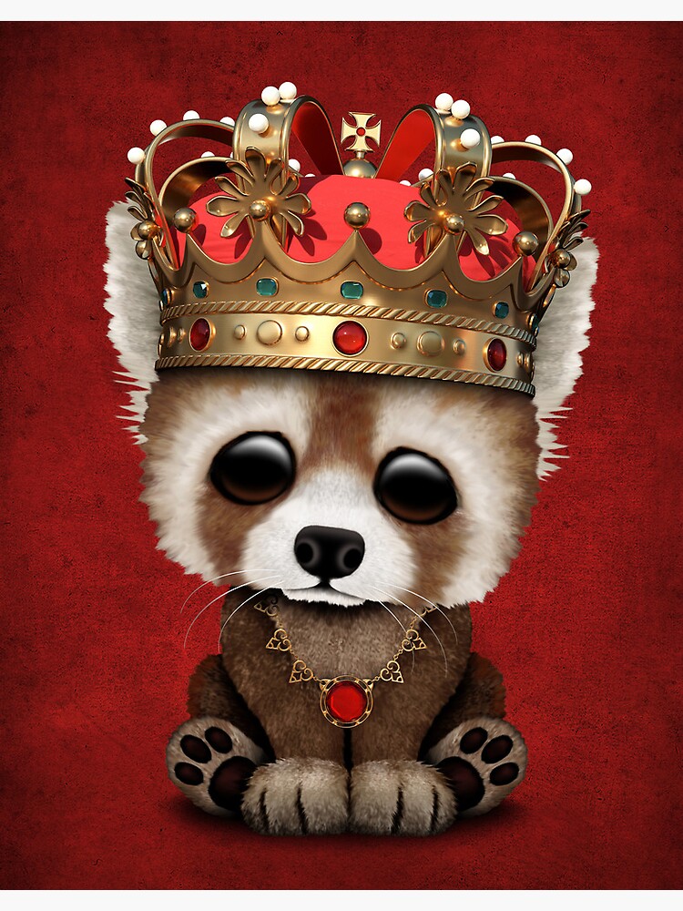 "Cute Red Panda Wearing Crown " Art Print for Sale by JeffBartels ...
