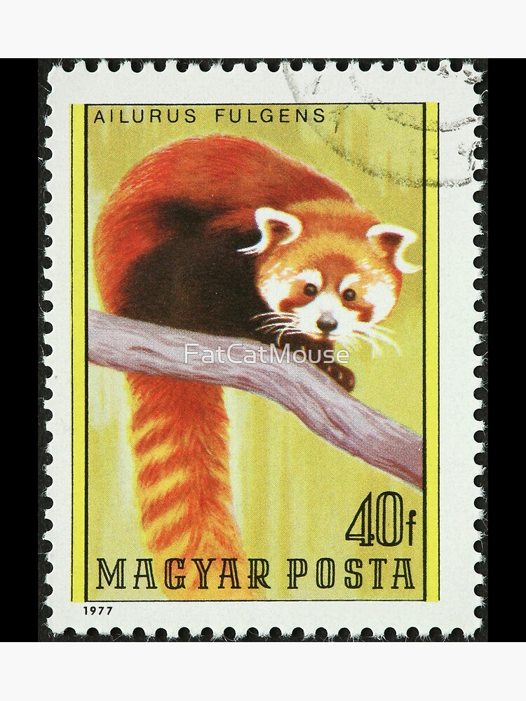 "Red Panda Stamp, Cute Red Panda, Vintage Panda " Poster for Sale by ...
