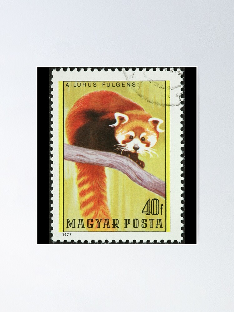 "Red Panda Stamp, Cute Red Panda, Vintage Panda " Poster for Sale by ...