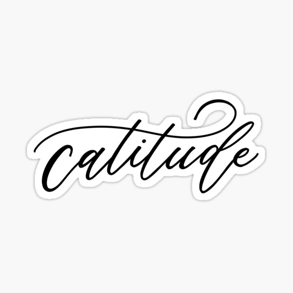 "Catitude " Sticker by ddoodler | Redbubble