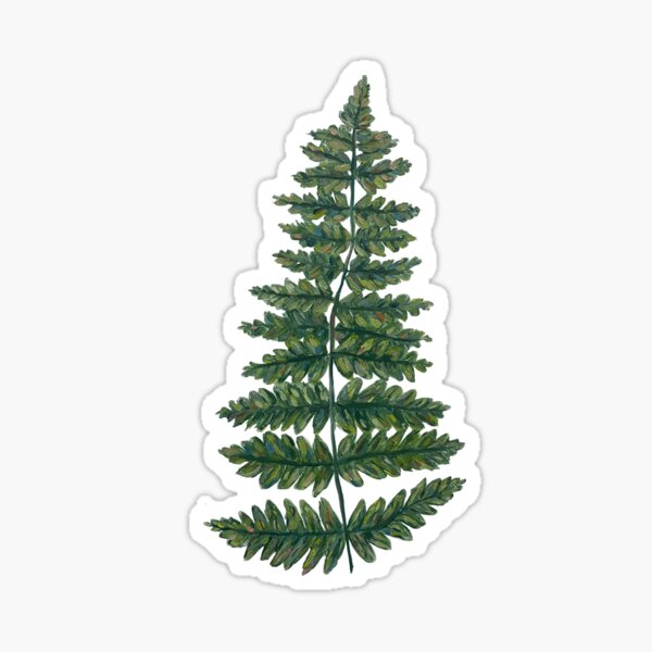 "Fern!" Sticker by alishareneaarts | Redbubble