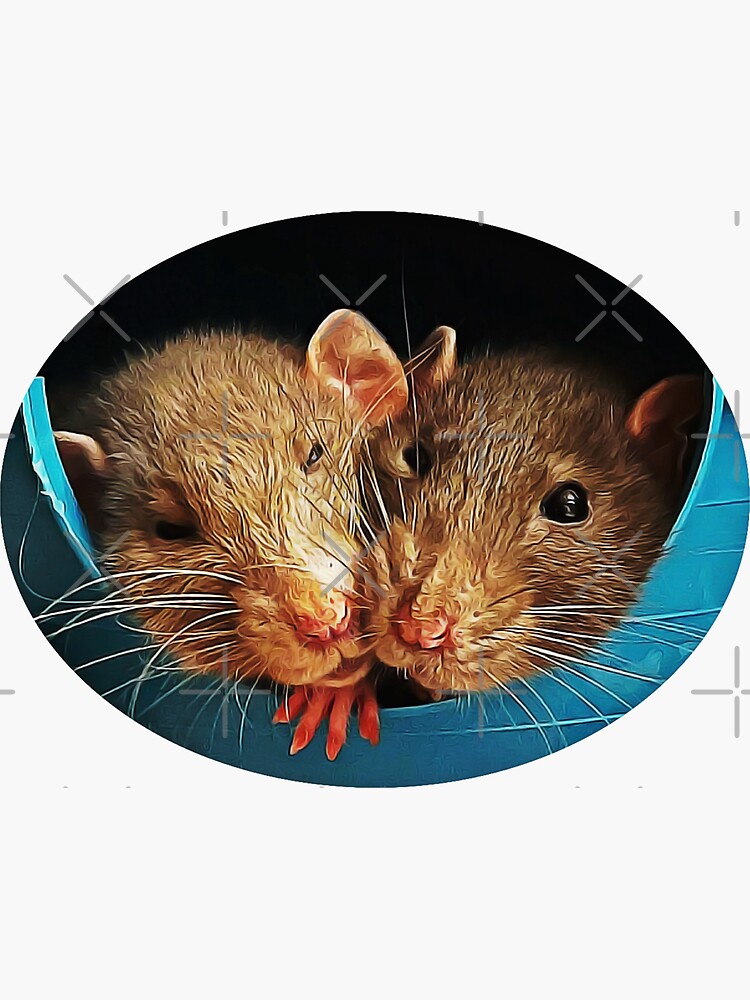 "Rats in love" Sticker by MAREK-Designs | Redbubble