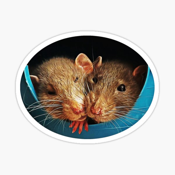 "Rats in love" Sticker by MAREK-Designs | Redbubble