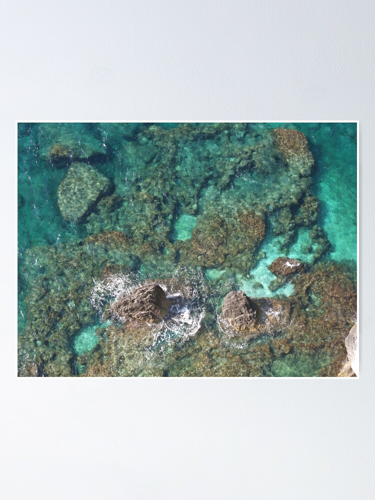 "Seabed" Poster for Sale by vainni | Redbubble