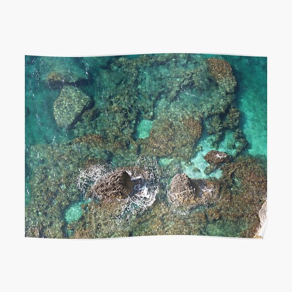 "Seabed" Poster for Sale by vainni | Redbubble