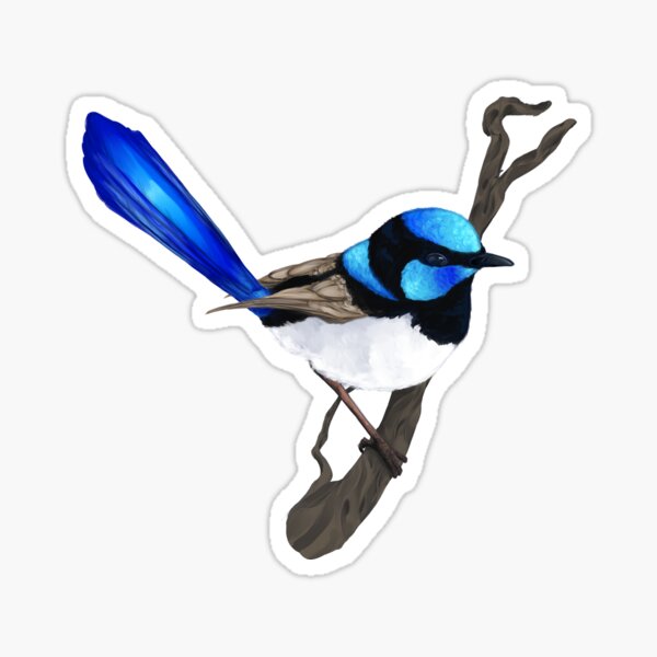 "Blue Wren" Sticker for Sale by FigOnACanvas | Redbubble