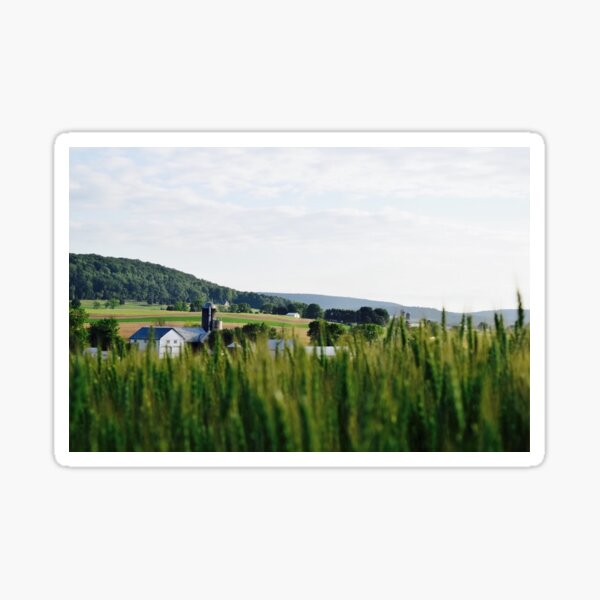 "Amish Country" Sticker by alive-stone | Redbubble
