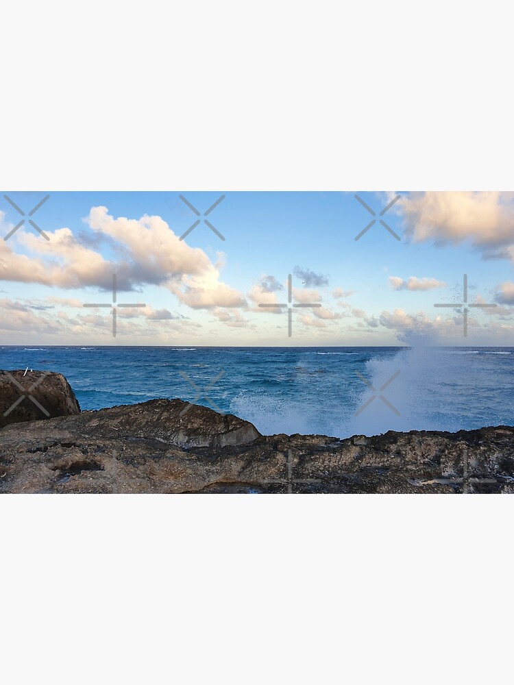 "Seaview With A Splash" Poster for Sale by jaxaredbubble | Redbubble