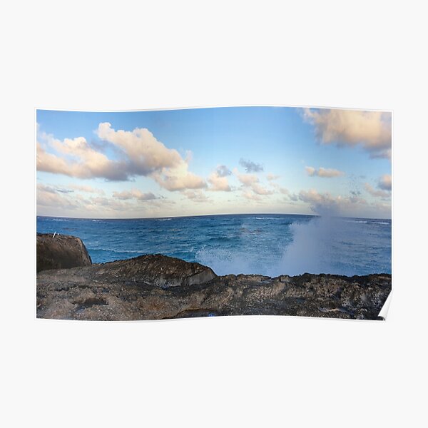 "Seaview With A Splash" Poster for Sale by jaxaredbubble | Redbubble