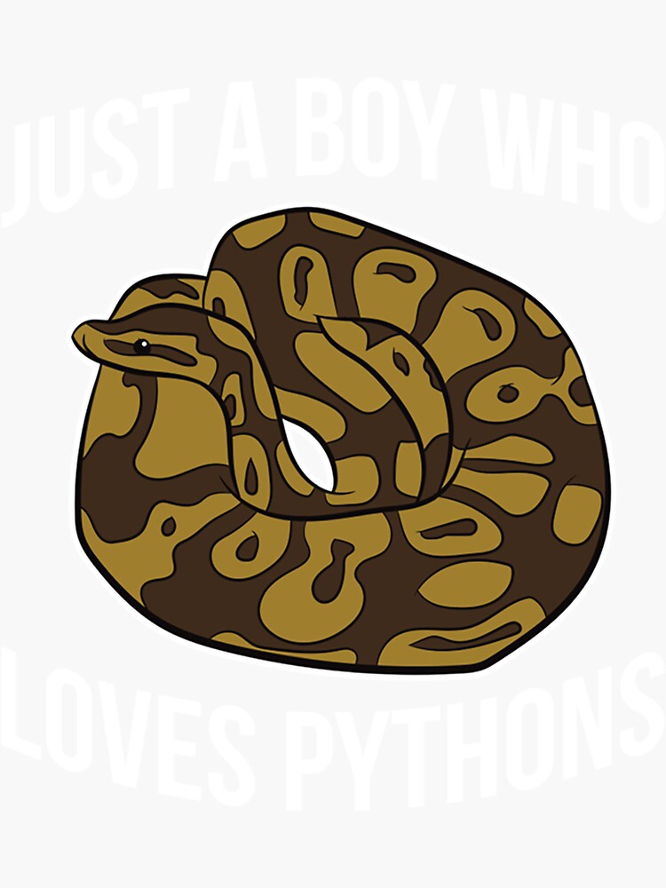 "Just a Boy Who Loves Ball Pythons Cute Ball Python Snake Hoodie" Sticker for Sale by ...