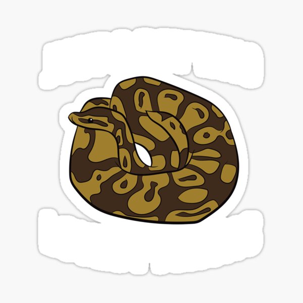 "Just a Boy Who Loves Ball Pythons Cute Ball Python Snake Hoodie ...