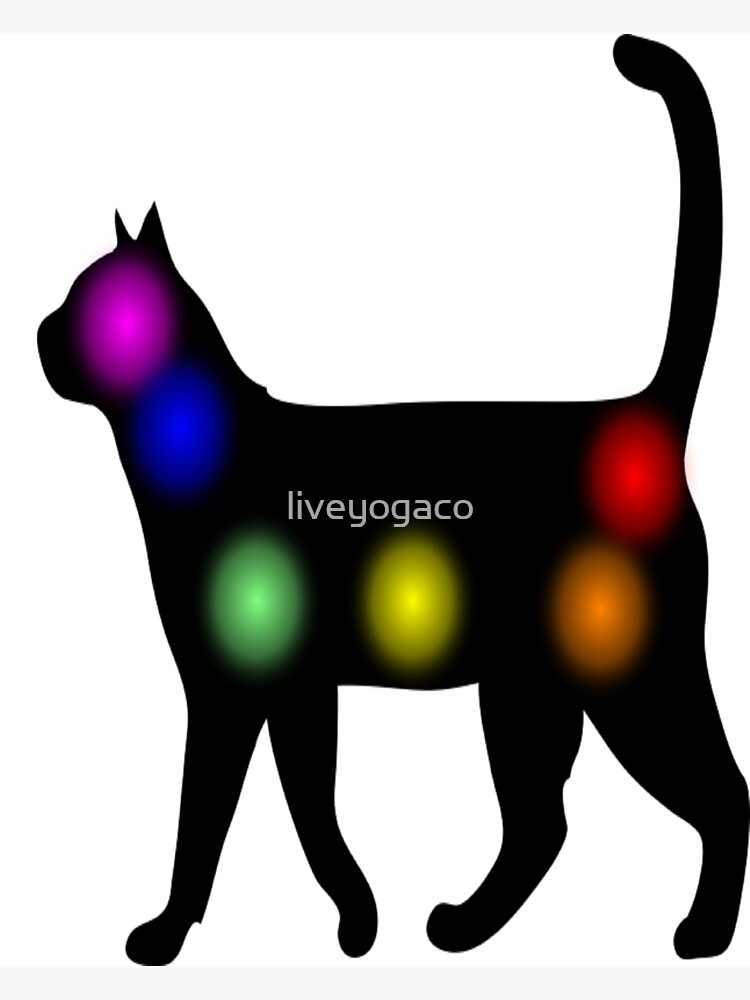 "Cat Chakras System " Sticker for Sale by liveyogaco | Redbubble