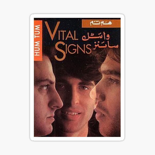 "Vital Signs - Retro 90's Pop Band - Hum Tum Album Cover" Sticker by ...