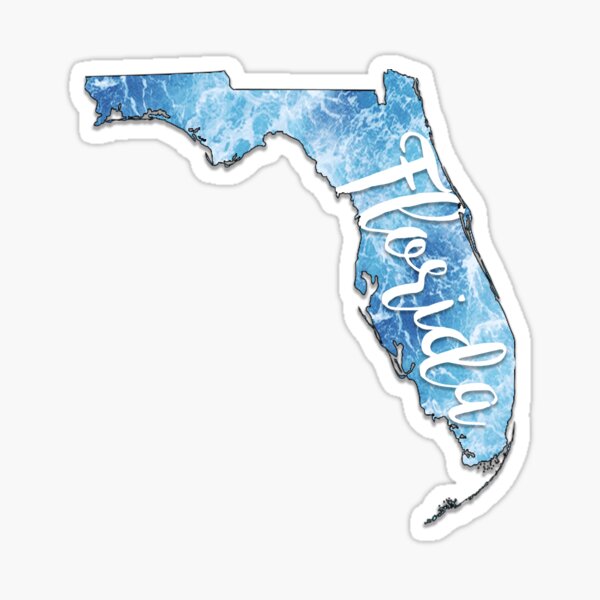 "Florida" Sticker for Sale by doodlesbydani | Redbubble
