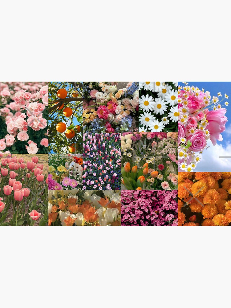 "spring collage" Sticker by honeyloki | Redbubble