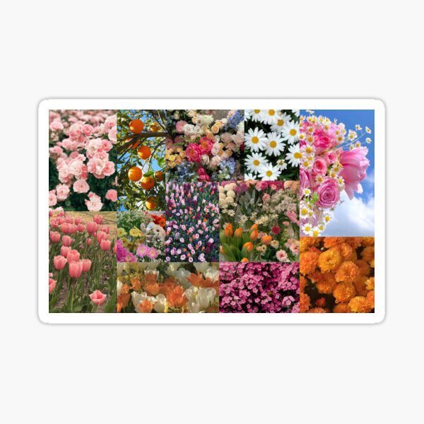 "spring collage" Sticker by honeyloki | Redbubble