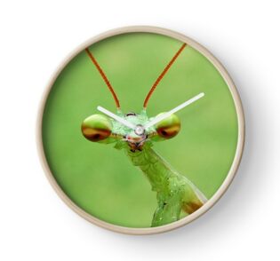"Praying Mantis" by Macky | Redbubble