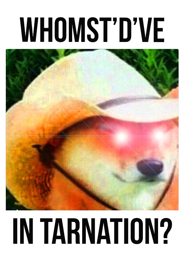 "Whomst'd've in Tarnation" by MemesnDeams | Redbubble