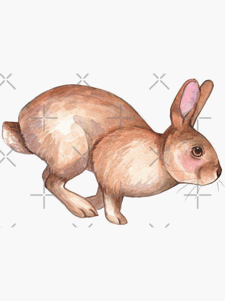 "running bunny" Sticker by kaorynchan | Redbubble