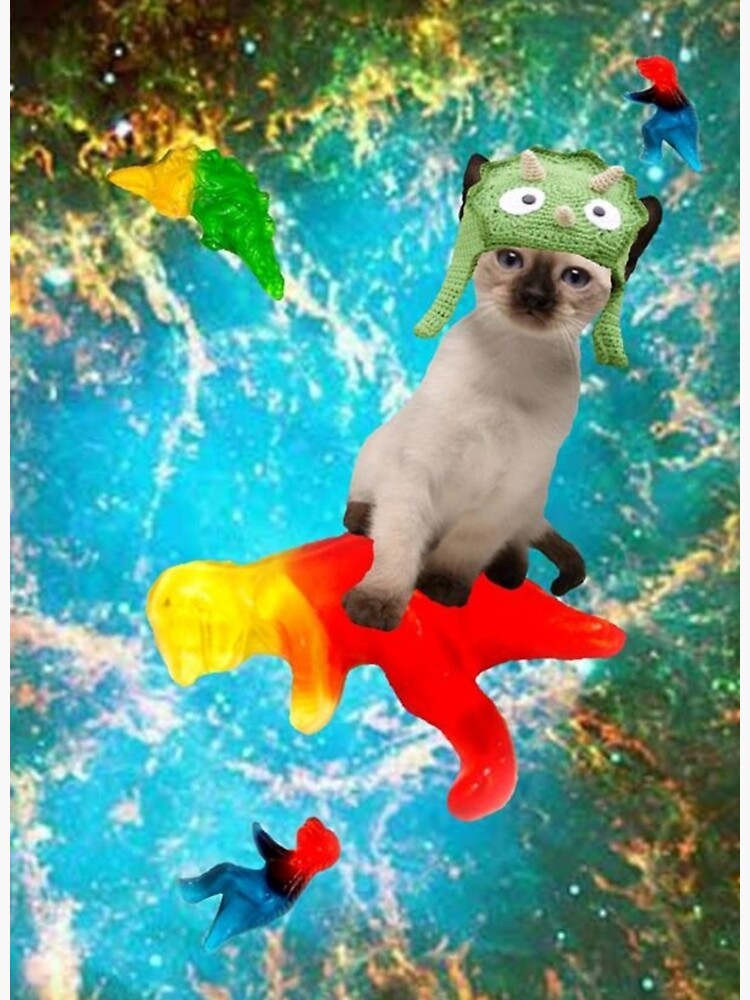 "space junk cat" Sticker for Sale by taco-elgato | Redbubble