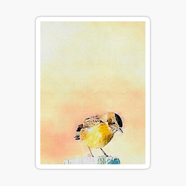 "Sparrow" Sticker for Sale by Sysham | Redbubble