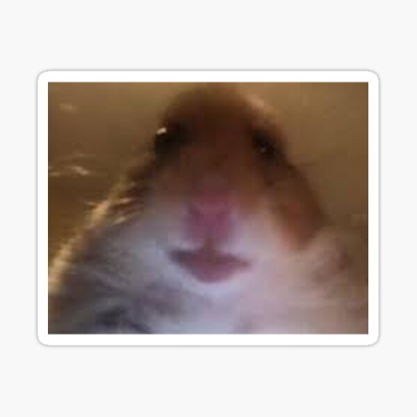 "hamster meme" Sticker by DrawsByAle | Redbubble