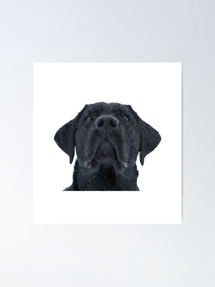 "Black Labrador - Low Poly" Poster for Sale by AnimaliaArt | Redbubble