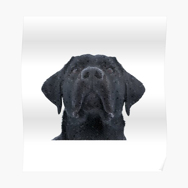 "Black Labrador - Low Poly" Poster for Sale by AnimaliaArt | Redbubble