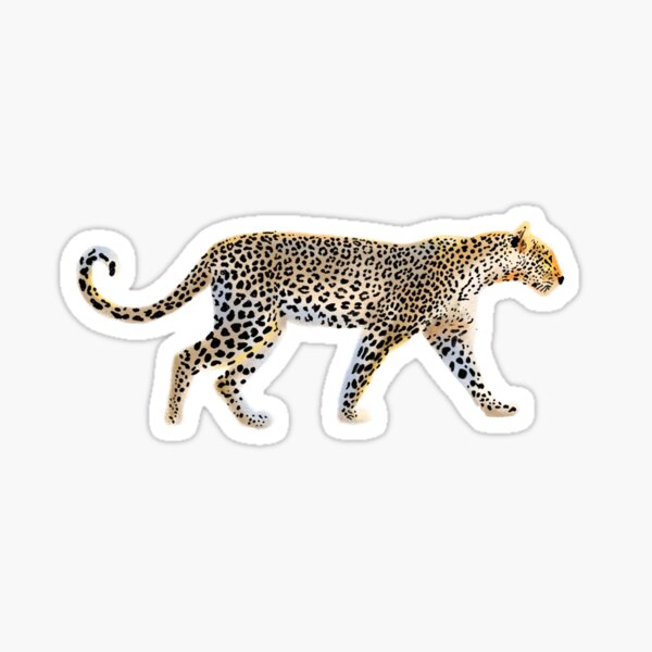 "Simple Leopard " Sticker for Sale by ArtByNicole111 | Redbubble