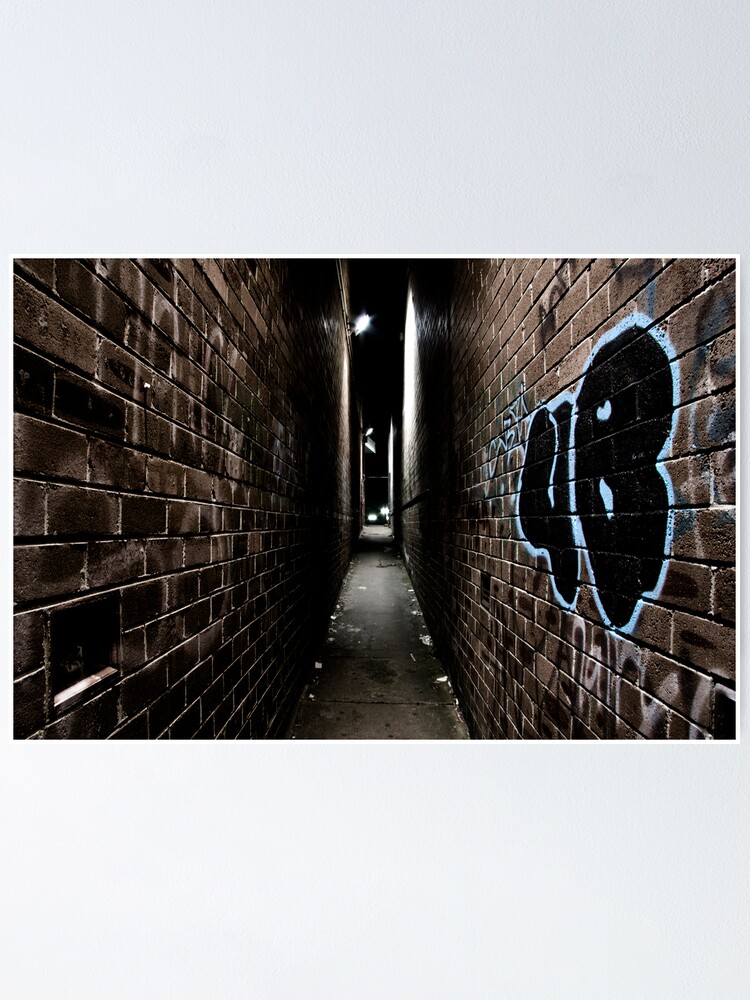 "UB Alley" Poster for Sale by benherman | Redbubble