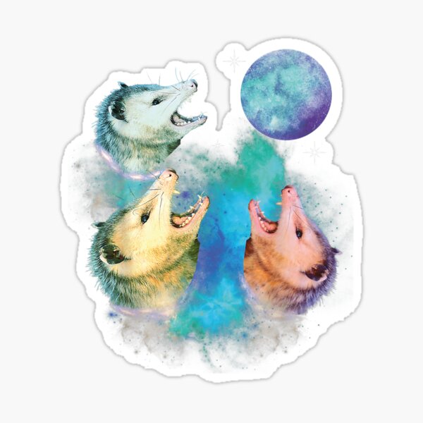 "Three Opossum Moon With 3 Possums, 3 opossum moon" Sticker by ...