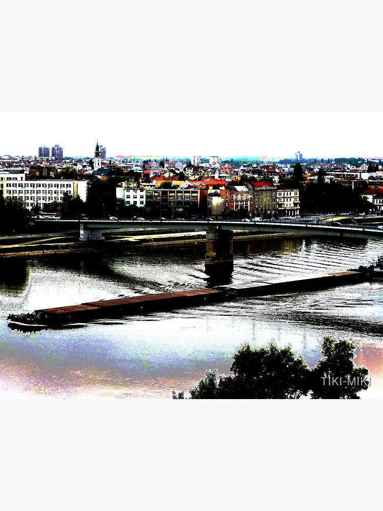 "a city on the Danube" Poster for Sale by TIKI-MIKI | Redbubble