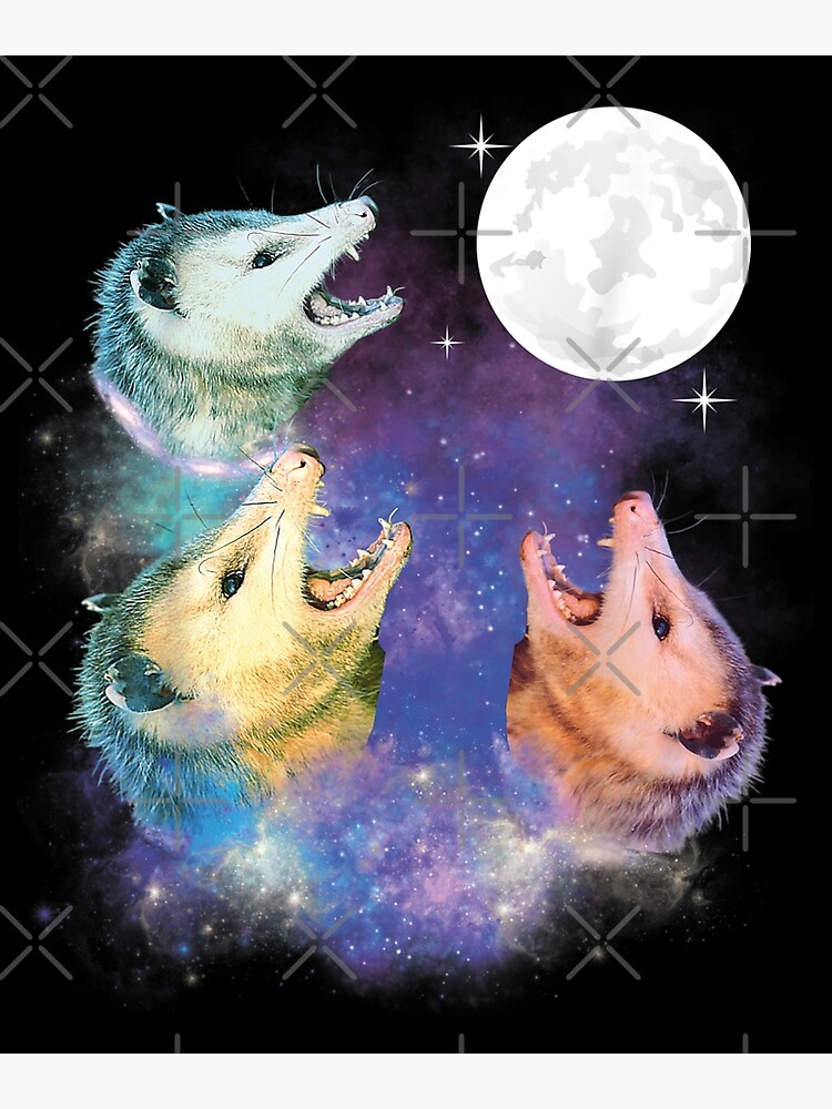 "Three Opossum Moon With 3 Possums, 3 opossum moon " Art Print for Sale ...