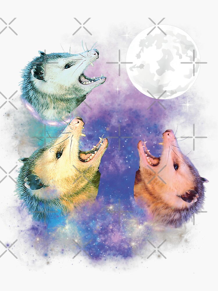 "Three Opossum Moon With 3 Possums, 3 opossum moon " Sticker for Sale ...