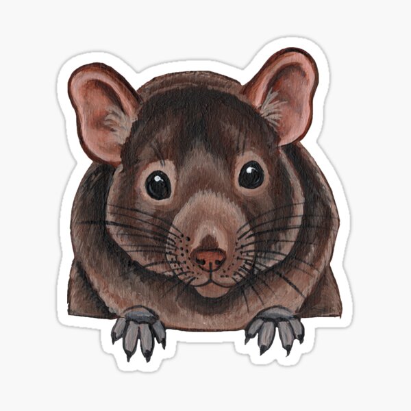 "Degu" Sticker by WolfySilver | Redbubble