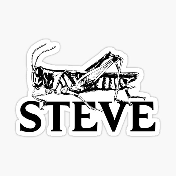 "You have a drink named steve?" Sticker by tshirtfaces | Redbubble