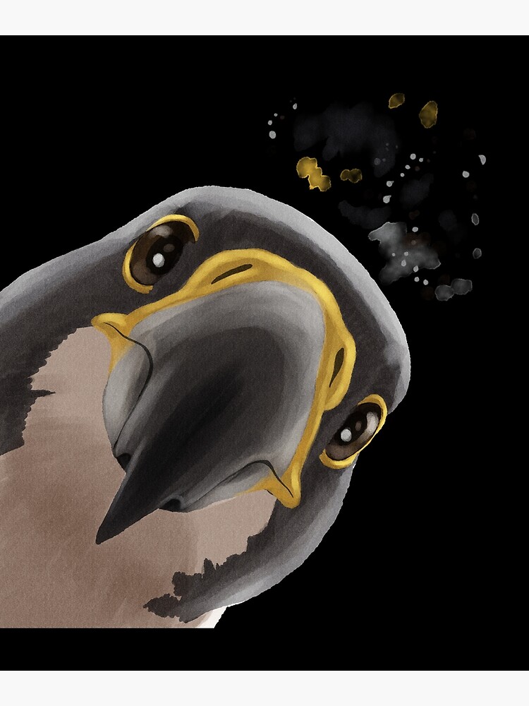 "Funny Bird Curious Peregrine Falcon Artwork" Poster by alwe-designs ...