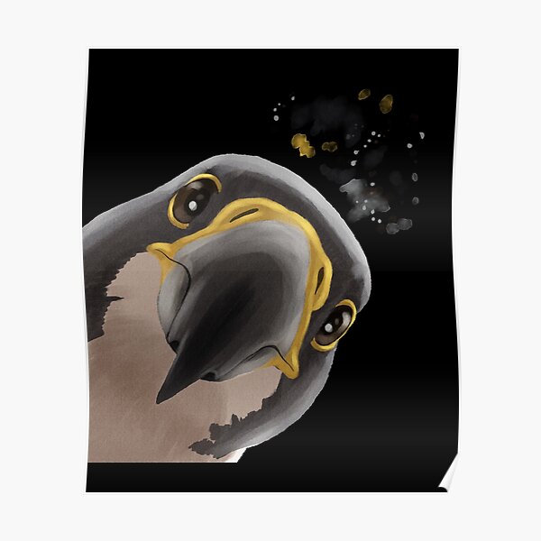 "Funny Bird Curious Peregrine Falcon Artwork" Poster by alwe-designs ...