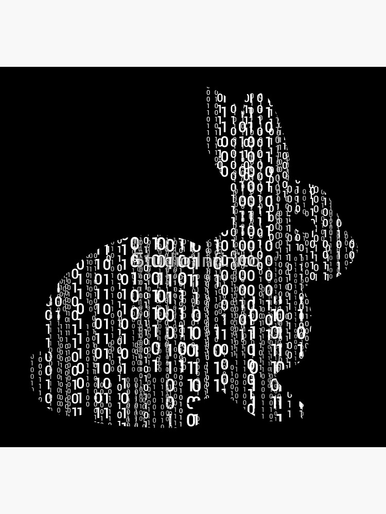 "Follow the white rabbit" Poster for Sale by Studio Infinito | Redbubble
