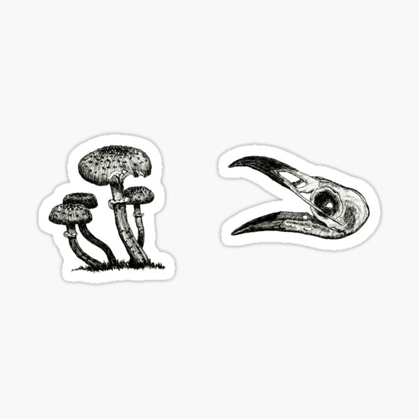 "Mushrooms and Crow Skull" Sticker by CasmahCreations | Redbubble