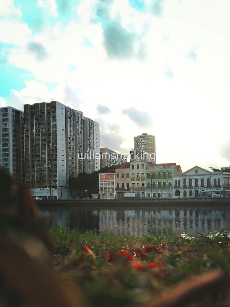 "Recife city of Pernambuco brazil" Sticker by willamsharking | Redbubble