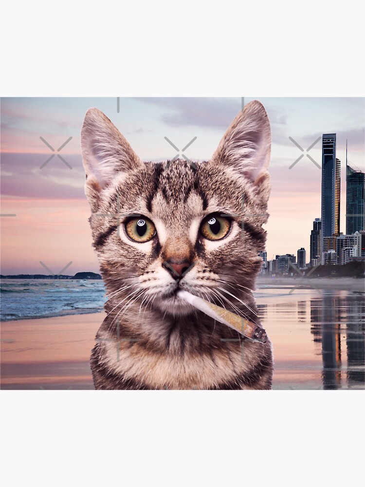 "Cat smoking weed on the beach" Sticker for Sale by yeppashop | Redbubble