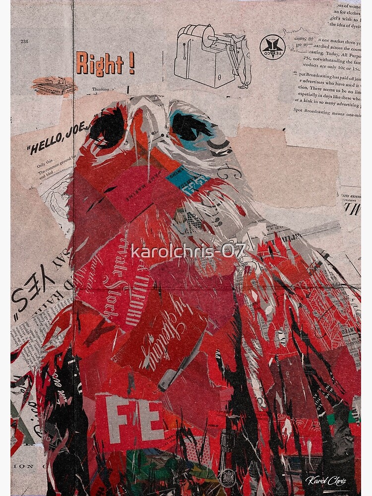 "Collage Art - Bird of Prey - Wildlife Collection" Poster for Sale by ...